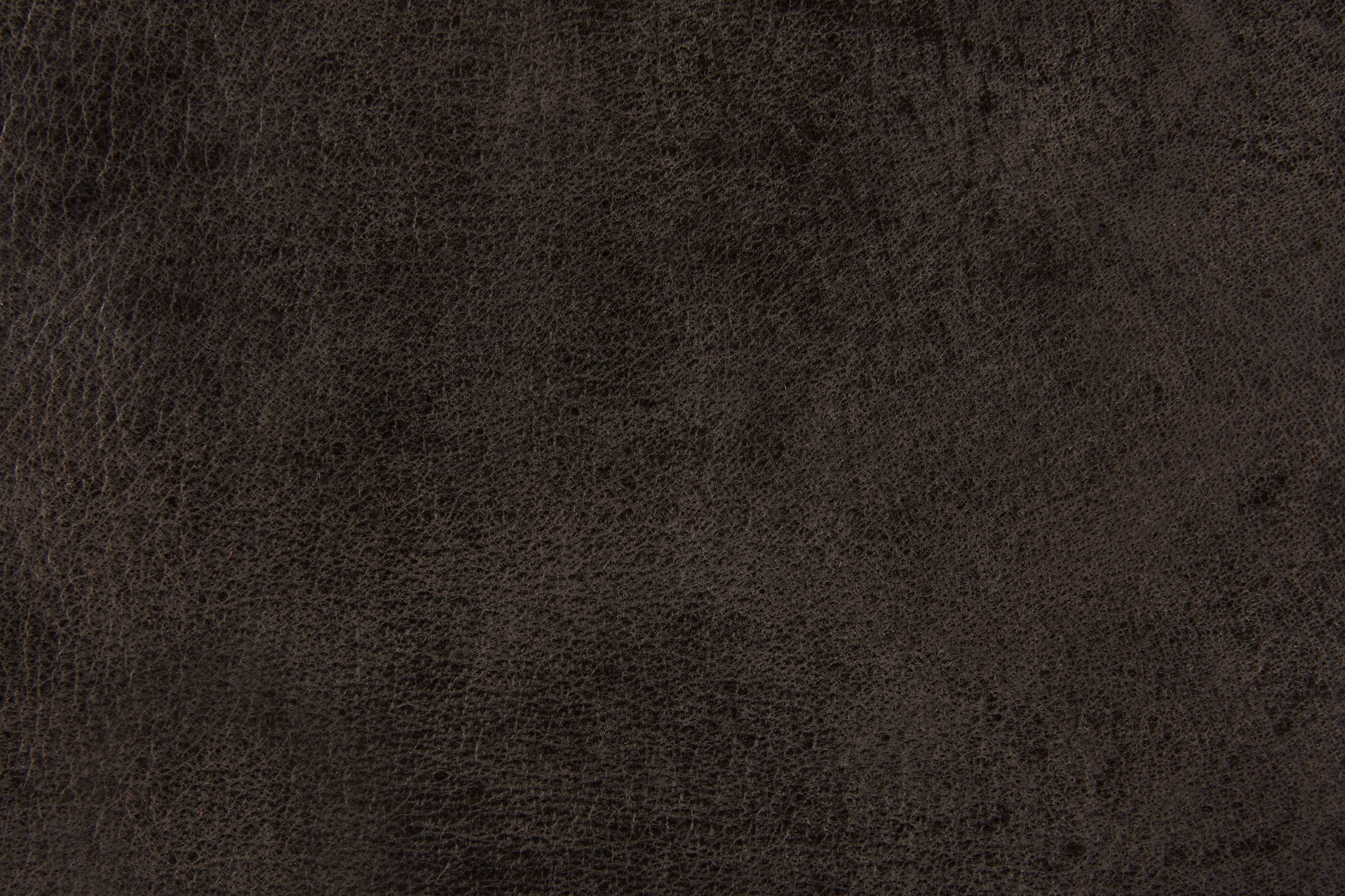 Archer Ash – Cisco Home