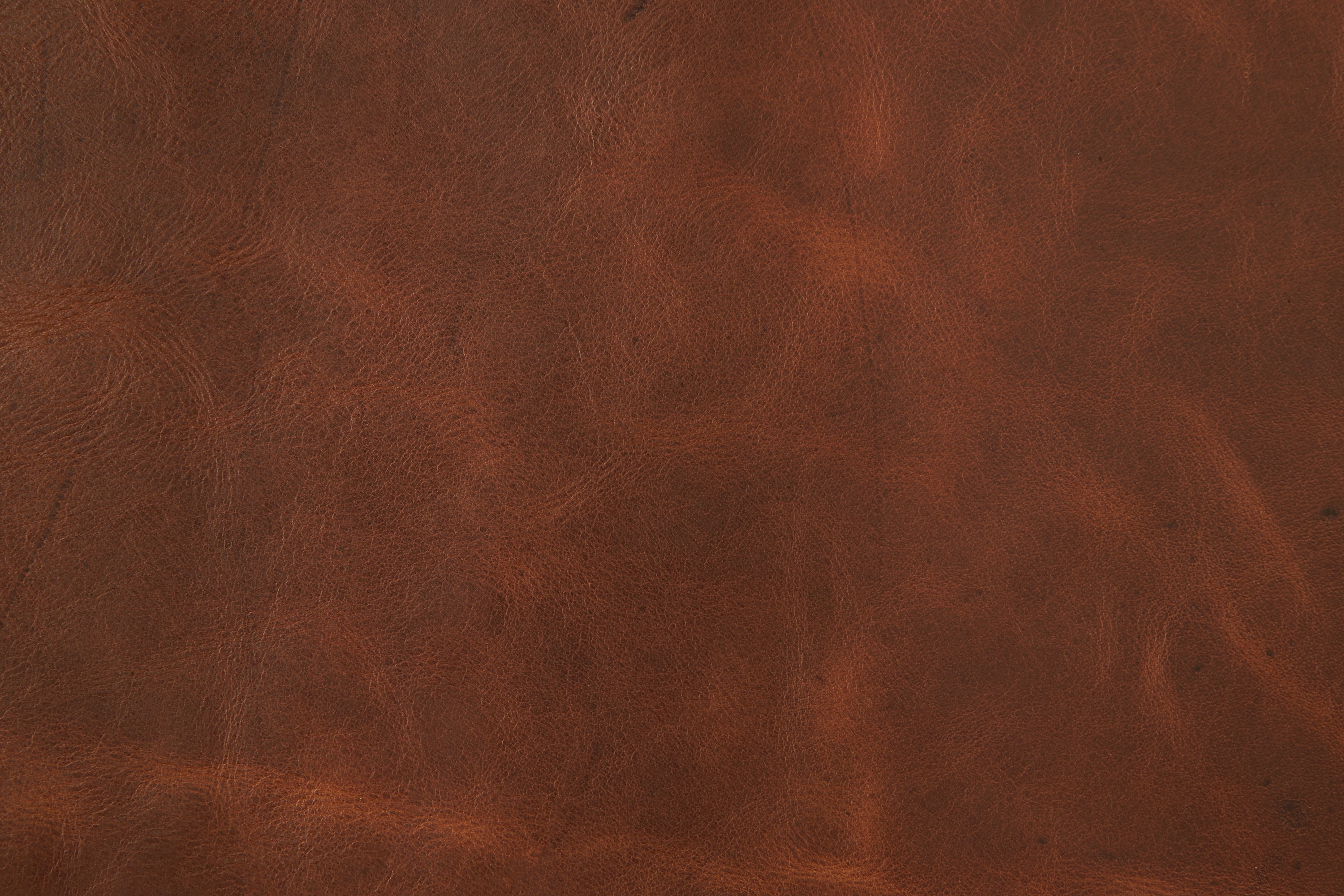 Spur Terracotta – Cisco Home